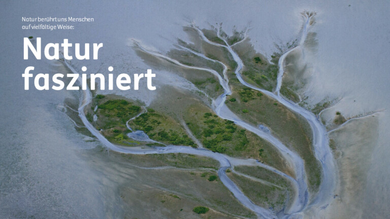 Dachmarke Nationale Naturlandschaften - Verband Deutscher Naturparke